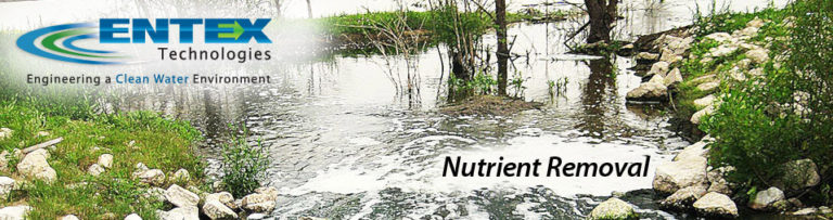 Entex Nutrient Removal Image | Entex Technologies